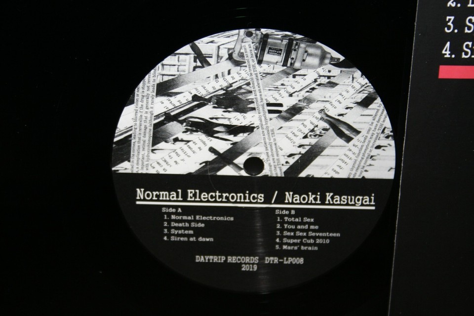 NAOKI KASUGAI Normal Electronics LP 2019 Daytrip Records ELECTRONICA Noise RARE | eBay