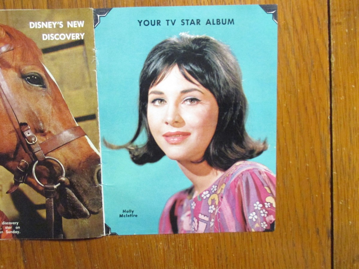 Holly Mcintire Biography Hexed (B&N Exclusive Edition) (Never After