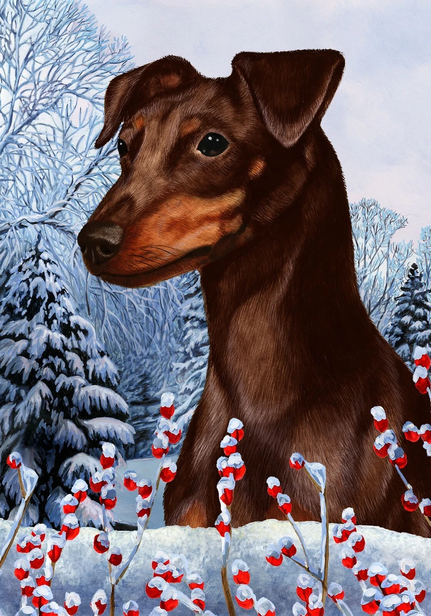 Chocolate Min Pin Chocolate Min Pin