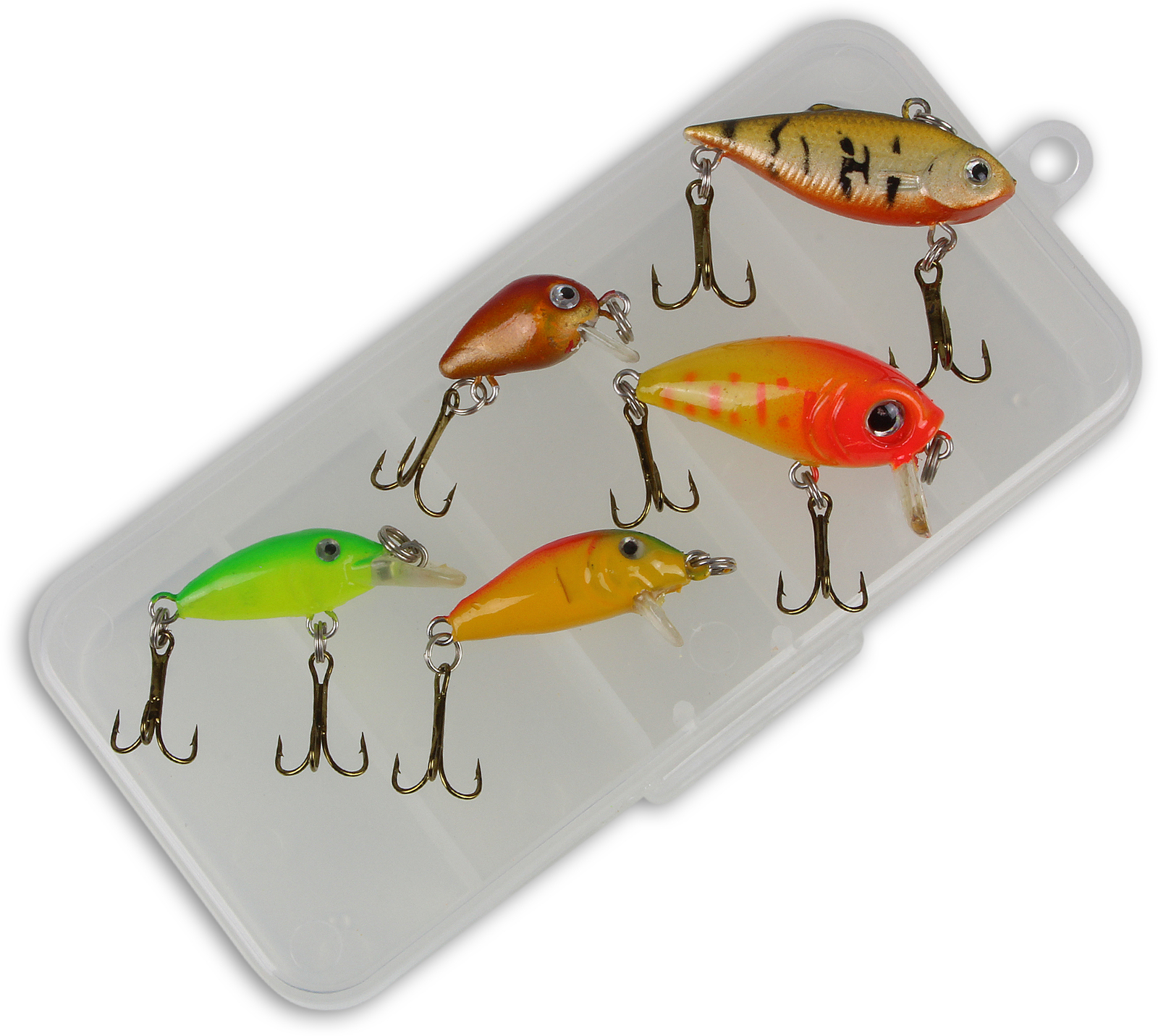 Wobbler Set in Sortimentsbox 5-tlg. - perfekt für Forelle und Barsch | eBay