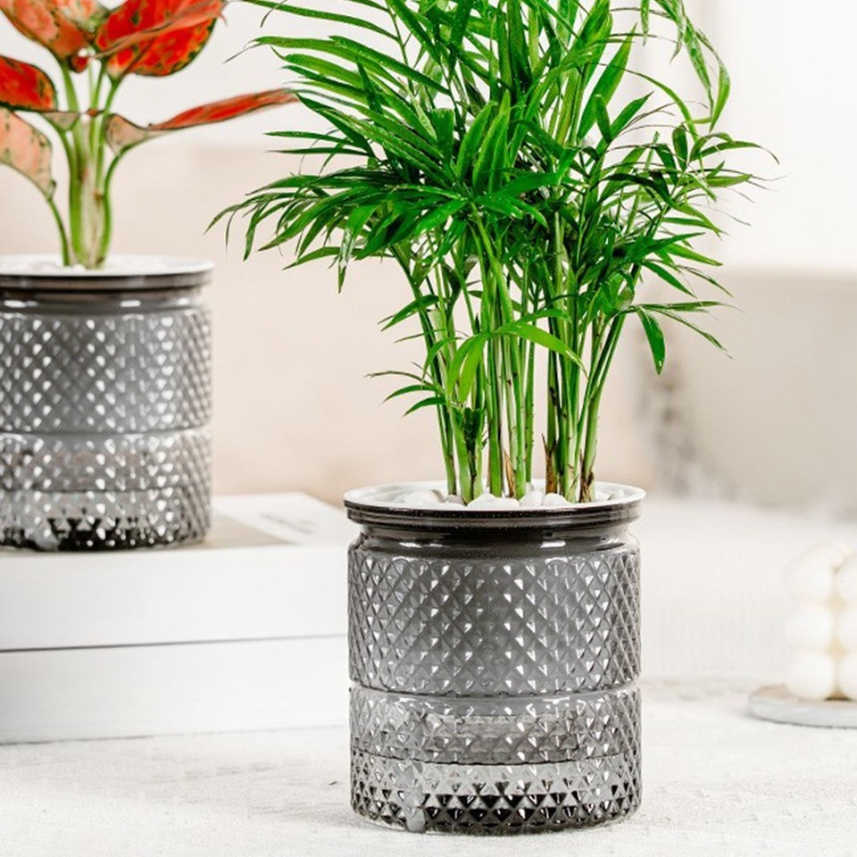 Self-watering Pot Versatile Planting Options For Windowsills For ...