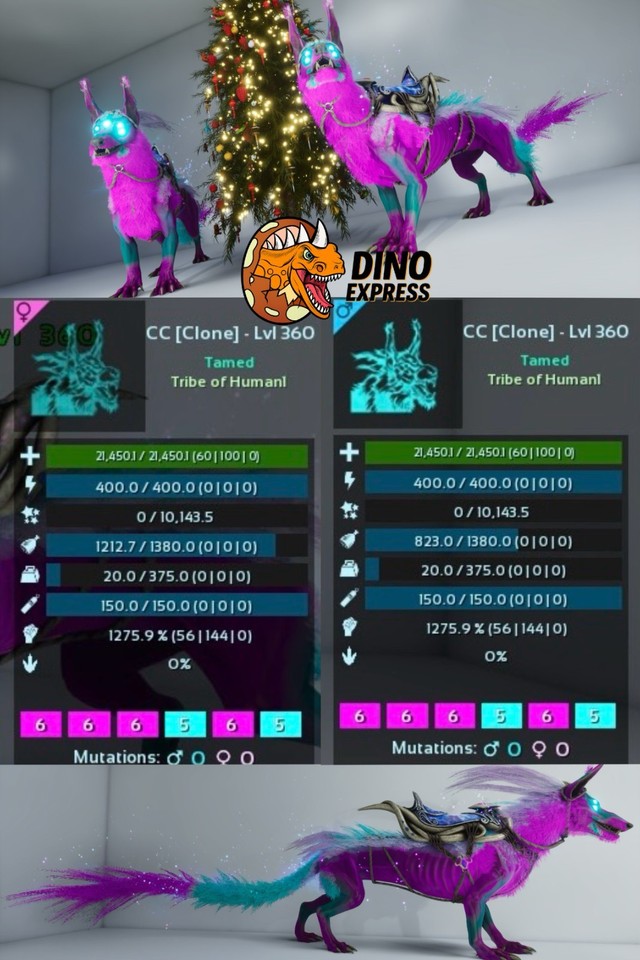 Malwyn Solwyn Max Stats Color Pair ARK🦕 Survival Ascended ASA PVE PC ...