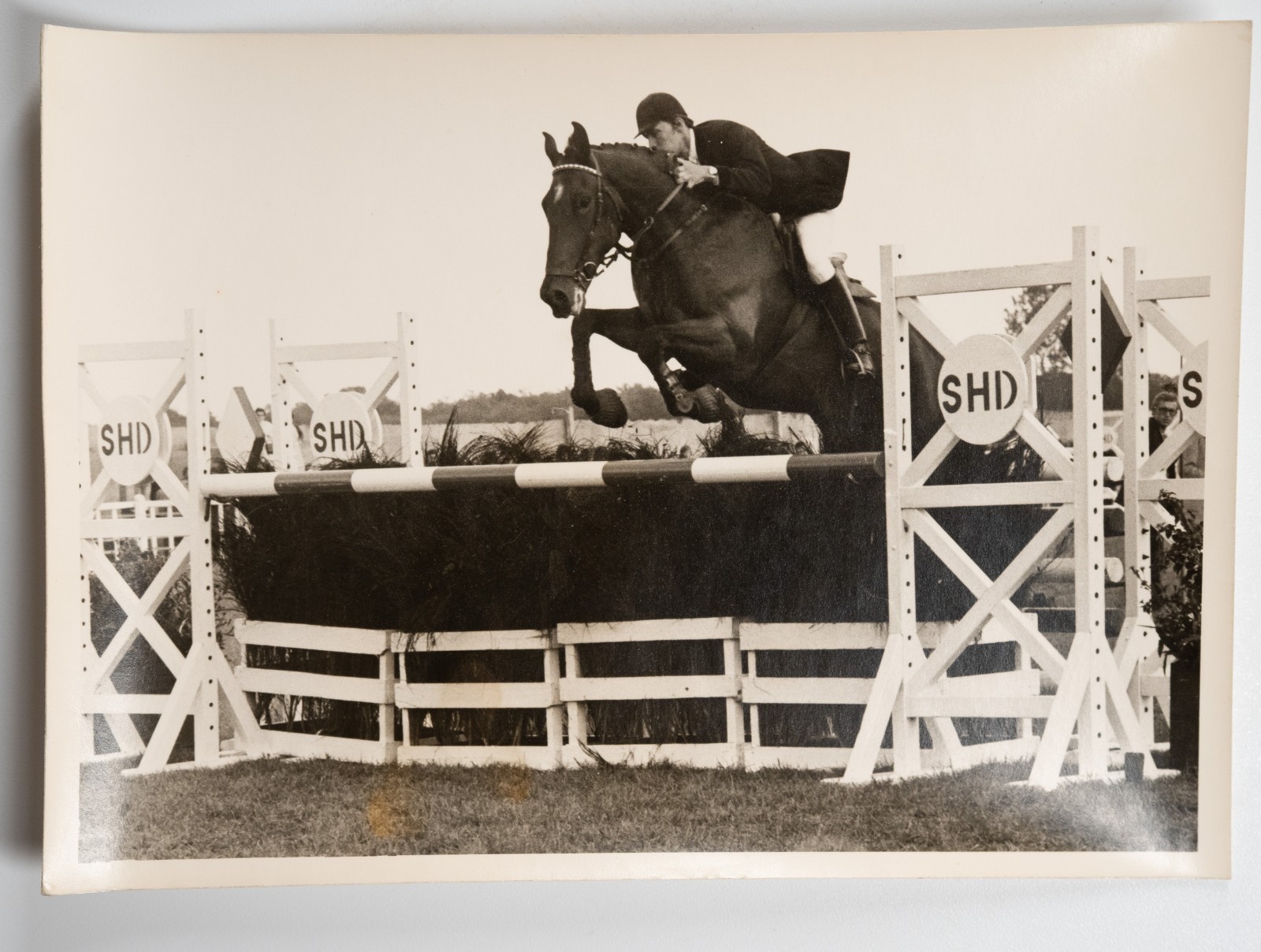 Foto Analogica Francia Equitazione Cavallo Salto Ostacoli 13X17Cm 1970 ...