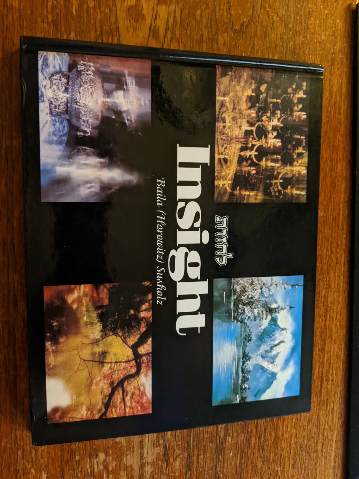 Insight A Collection of Poems Baila ( Horowitz) Susholz Jewish Signed ...