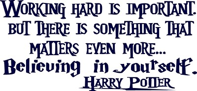 Working Hard is Important ~ Harry Potter Vinyl Decal Home Décor 12" x ...