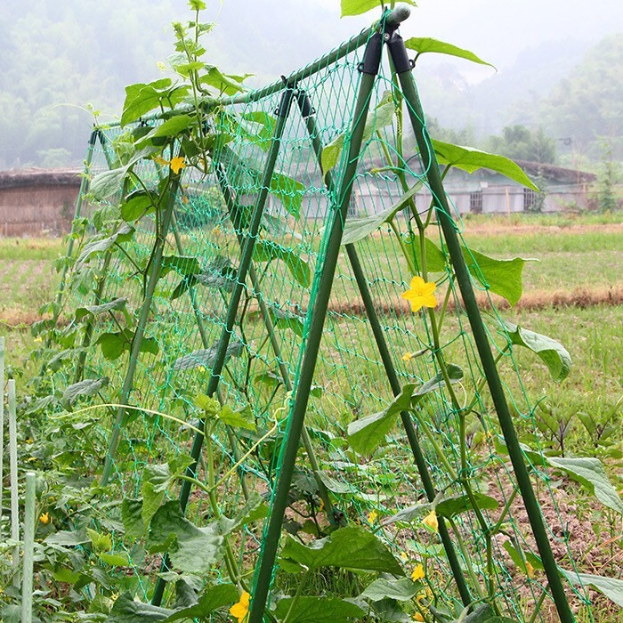 12 Pack 3ft Hydroponics Garden Plant Stakes Support Sticks Canes Pole ...