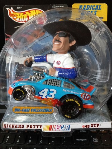 Hot Wheels.Radical Rides Nascar Richard Petty | eBay