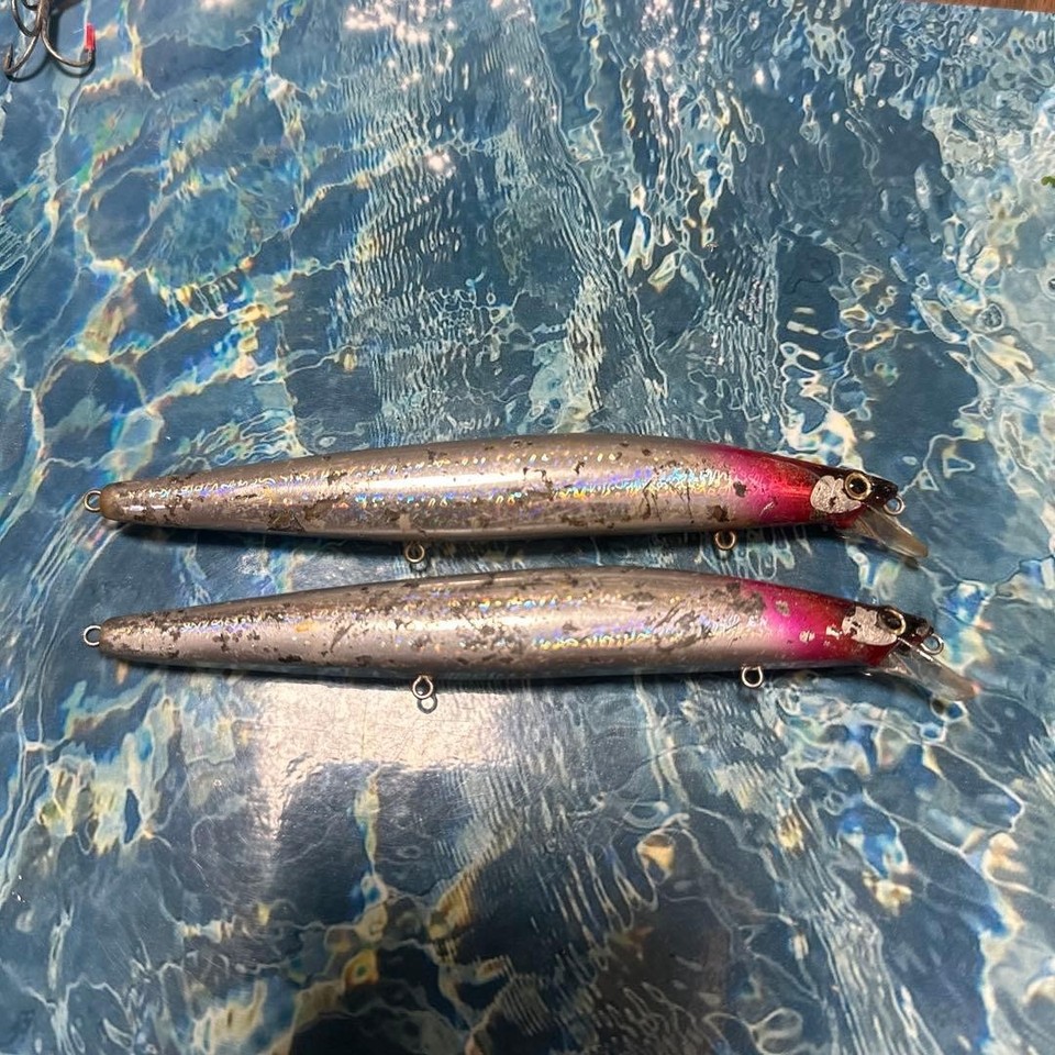 Shimano [Silent Assassin 140S] | eBay UK