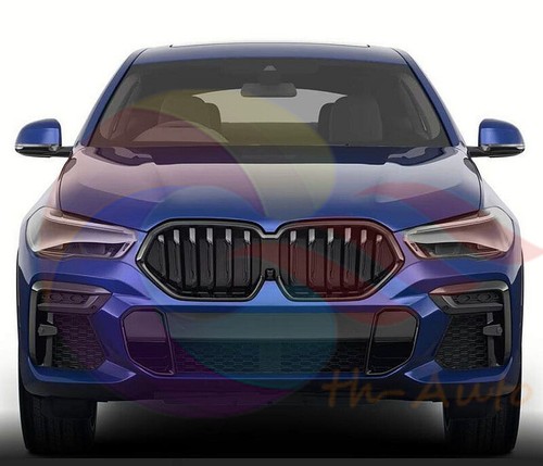 Front Right Bumper Grille Cover Behind Plate For BMW G06 X6 M Sport ...