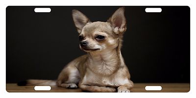 CHIHUAHUA DOG Custom License Plate CANINE BREED Emblem Desk Version | eBay