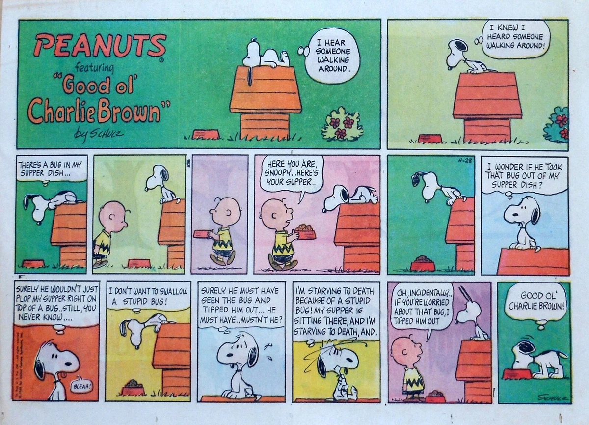 Charlie Brown Snoopy Comics