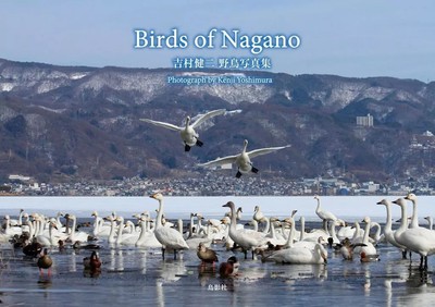 Book Practical Photo Birds of Nagano Kenji Yoshimura Wild Bird Photo ...