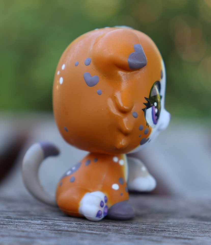 Littlest Pet Shop/ LPS, Calico Scottish Fold Cat, OOAK Custom, Hand ...