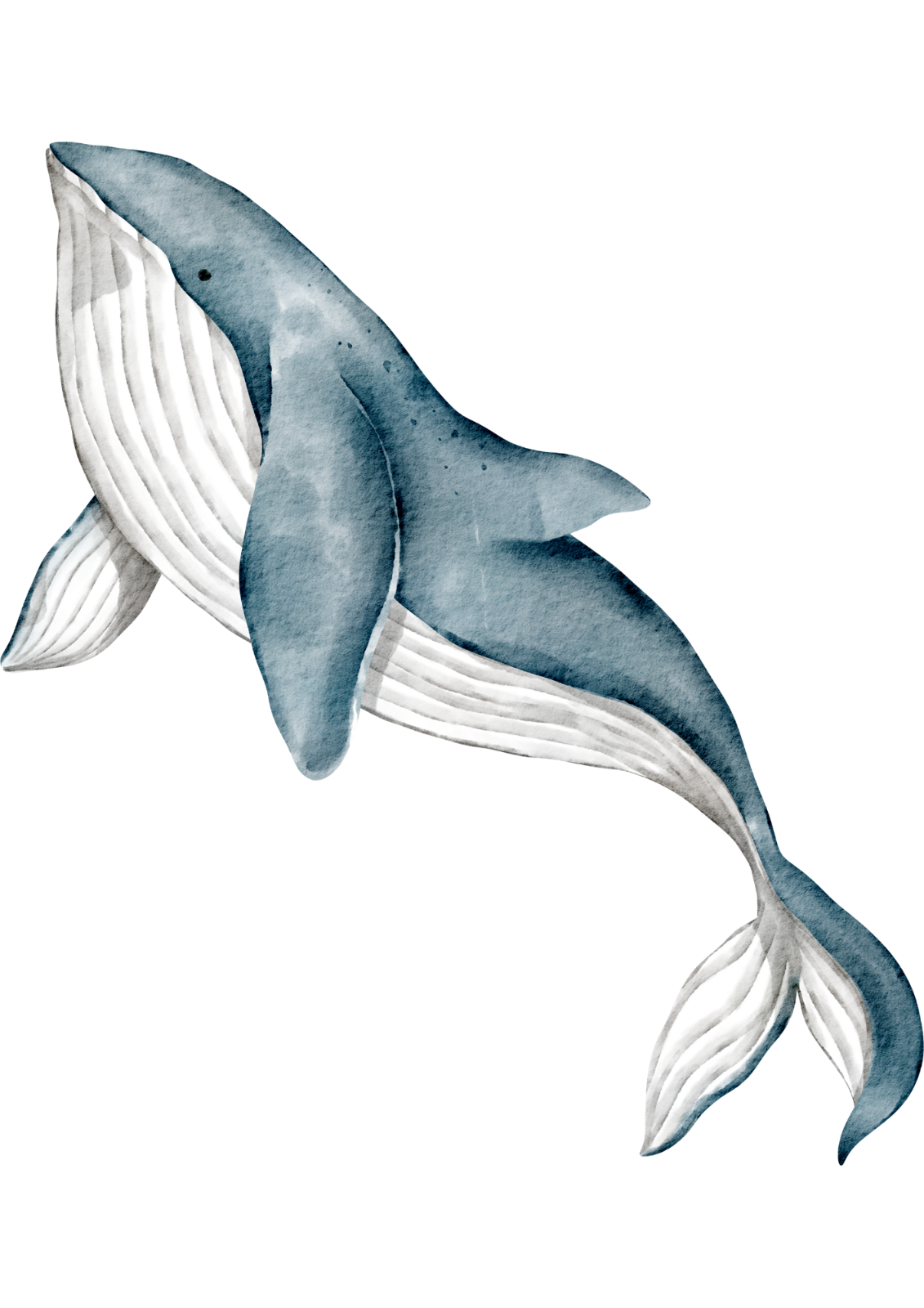 Sticker Wal Aufkleber | eBay