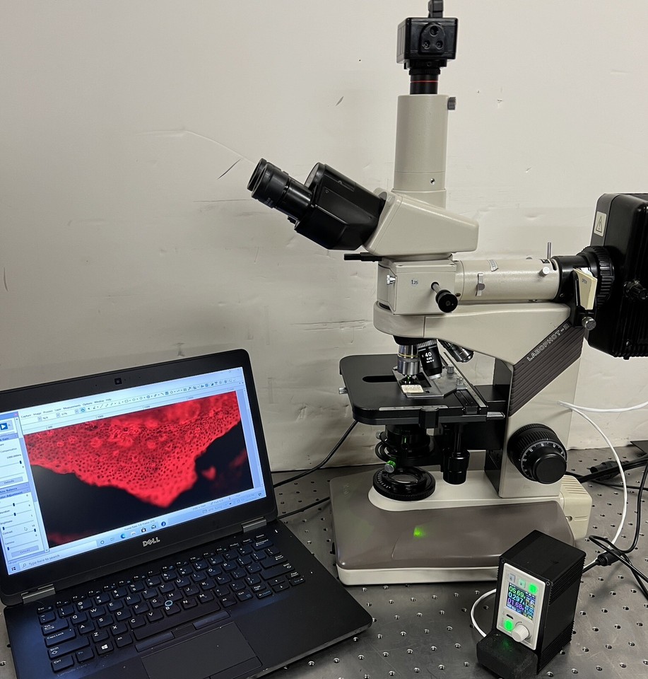 Nikon Labophot 2 Upgraded Broadband LED Fluorescence Microscope | eBay
