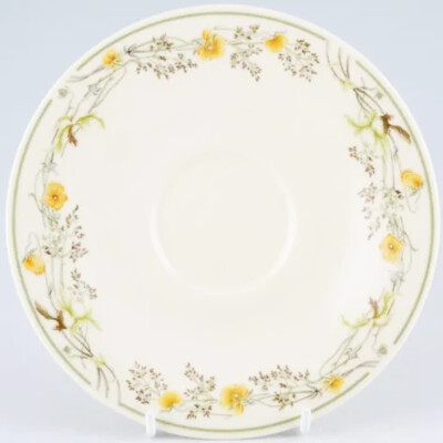 NICOLE H5080 by Royal Doulton Tea Saucer 6" NEW NEVER USED made in ...