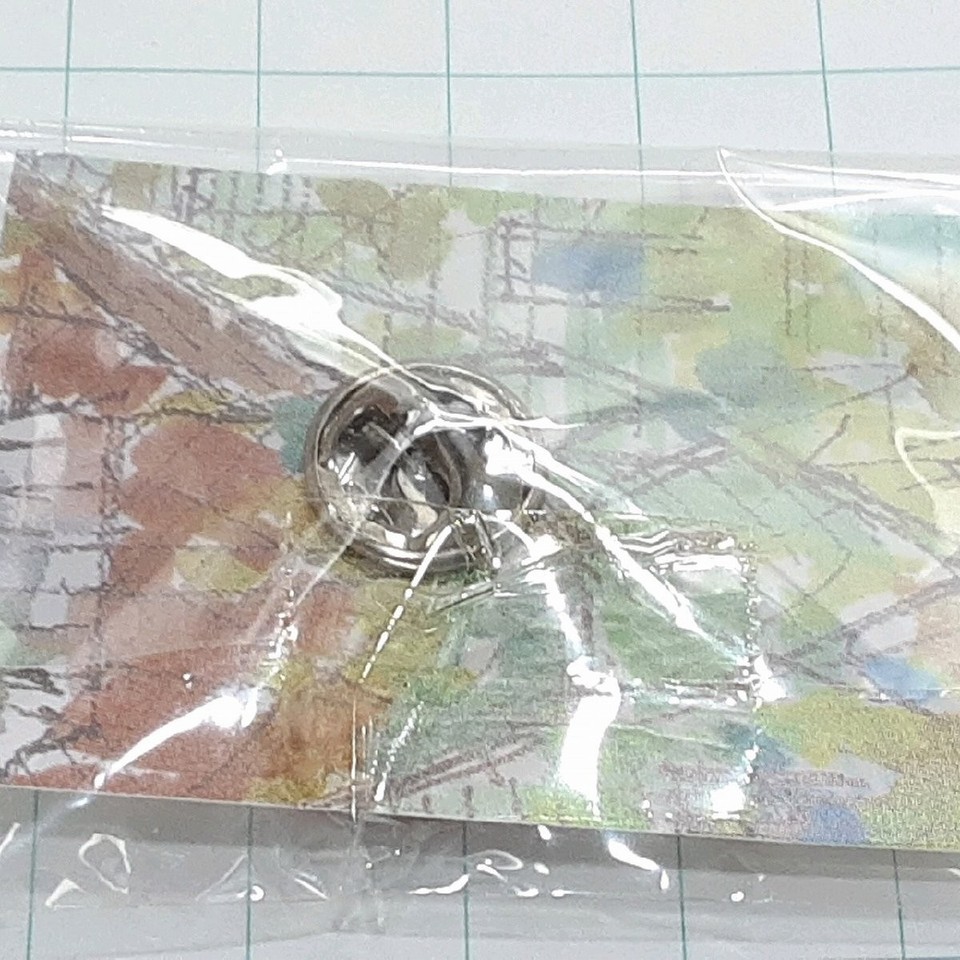 Free Shipping) Unused Hello Kitty Sanrio Hello Kitty Character Pin ...