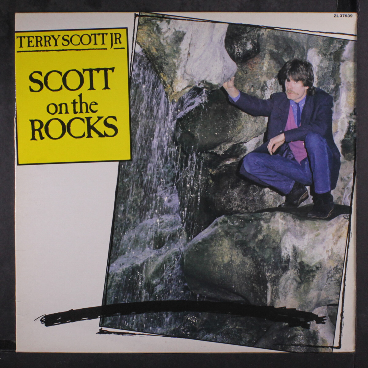 TERRY SCOTT JR.: scott on the rocks OVER CAT 12" LP 33 RPM | eBay