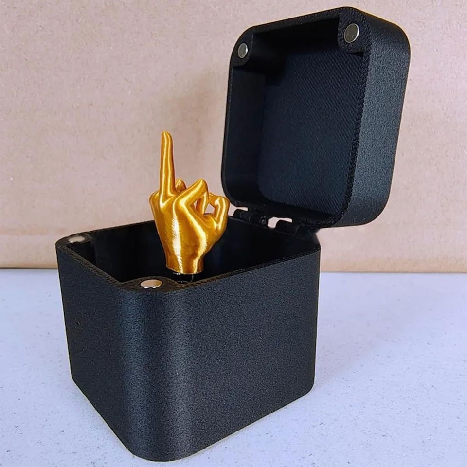Middle Finger in a Box, Only for You Middle Finger, Fun Prank Gift AE ...