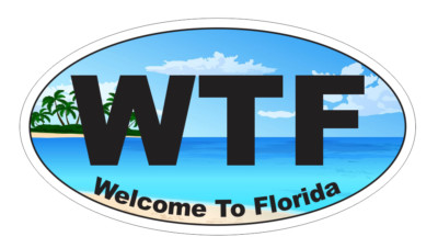WTF Welcome to Florida Oval Bumper Sticker or Helmet Sticker Beach ...