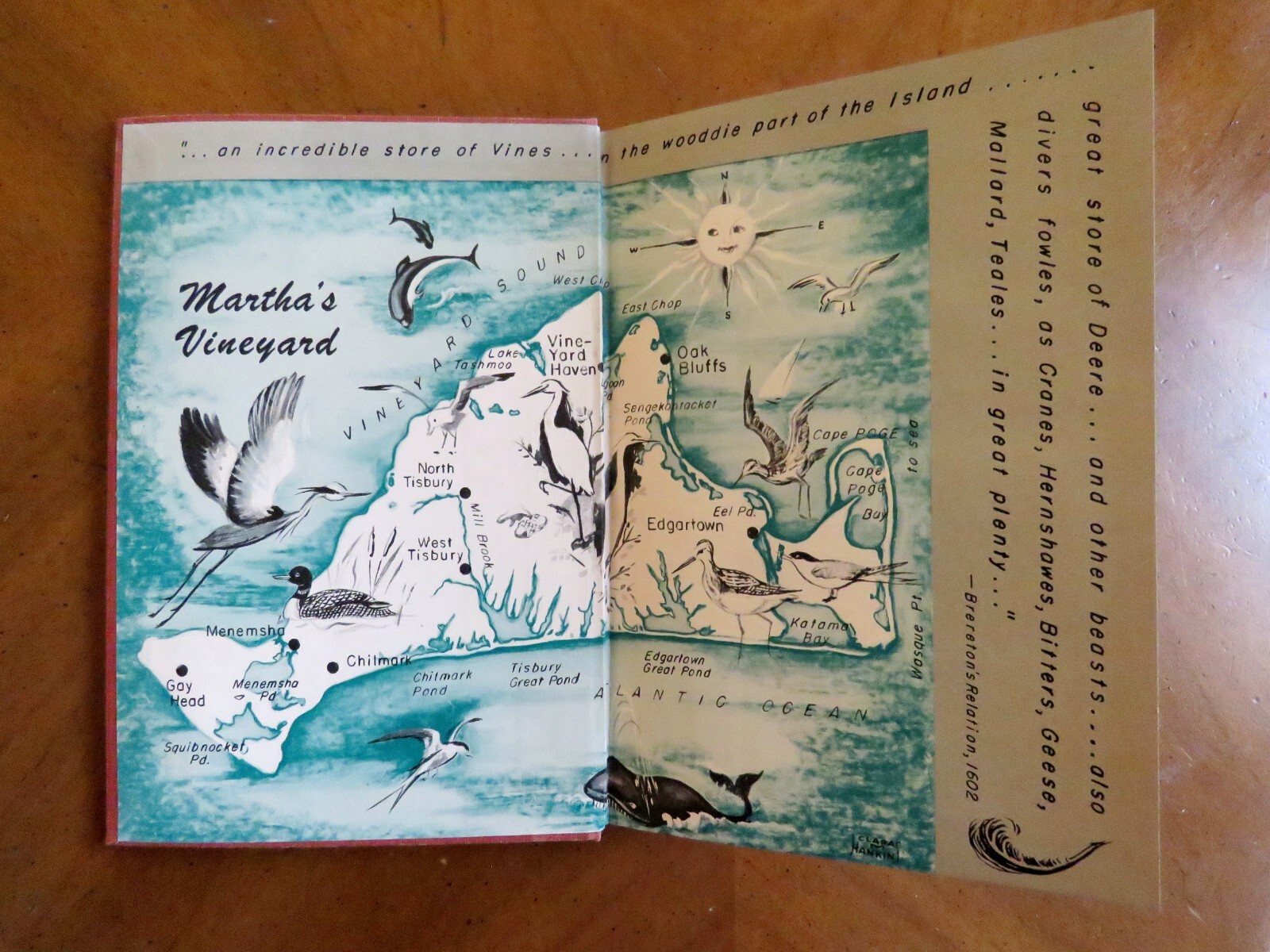 BIRDS OF MARTHA'S VINEYARD by Ludlow Griscom & Guy Emerson HBDJ 1959 | eBay