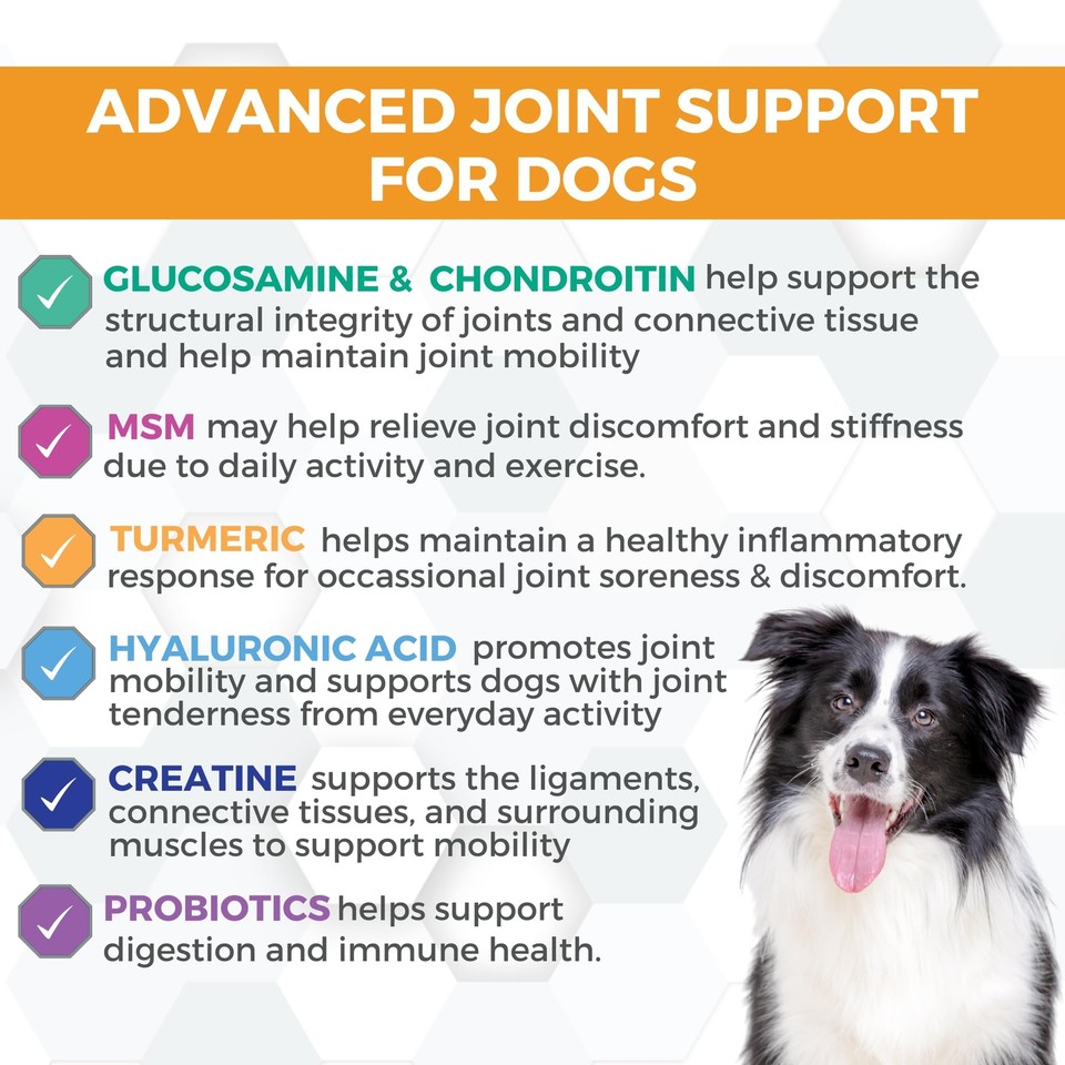 Progility Hip & Joint Supplement for Dogs, Dog Joint Support with ...