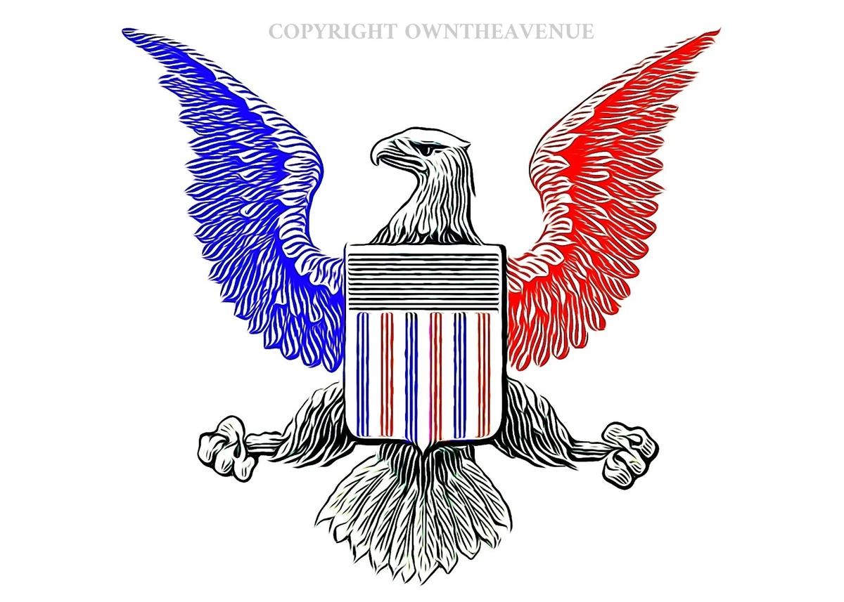 American Flag Shield Eagle