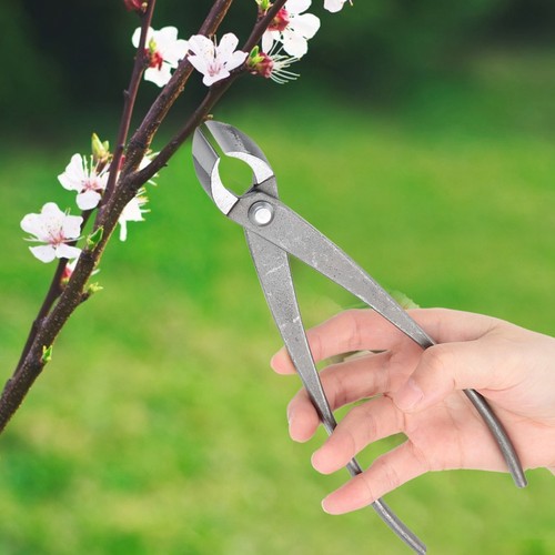 Gardening Shears Scissors Tools For Garden Cutter BEL | eBay