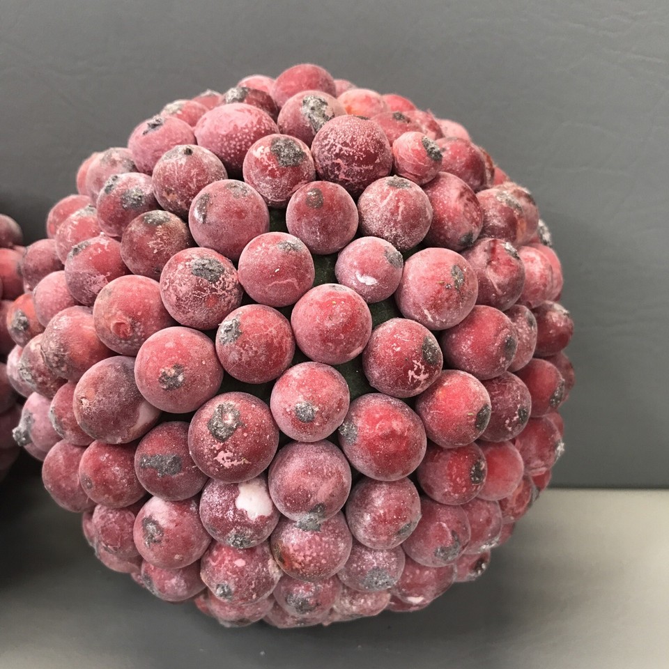 Artificial Decorative Red Frosted Berry Spheres Ball Fruits 6" Balls ...