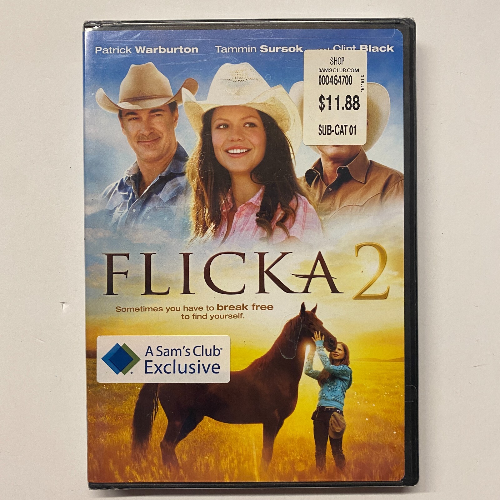 Flicka 2