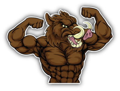 Muscular Boar Mascot Animal Car Bumper Sticker Decal - ''SIZES'' | eBay UK