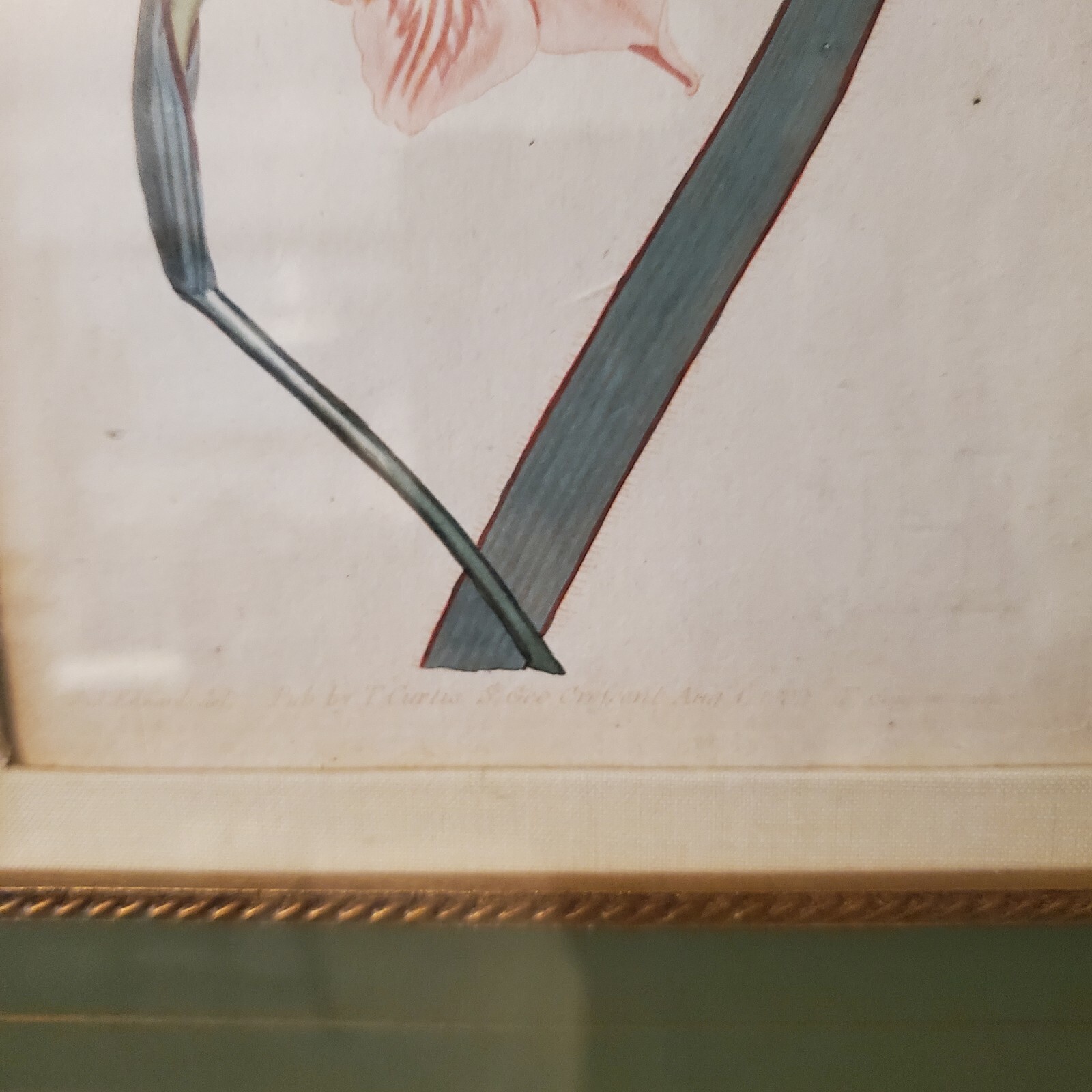 Syd Edwards Set of 2 Framed Colored Prints Published by T Curtis Circa ...