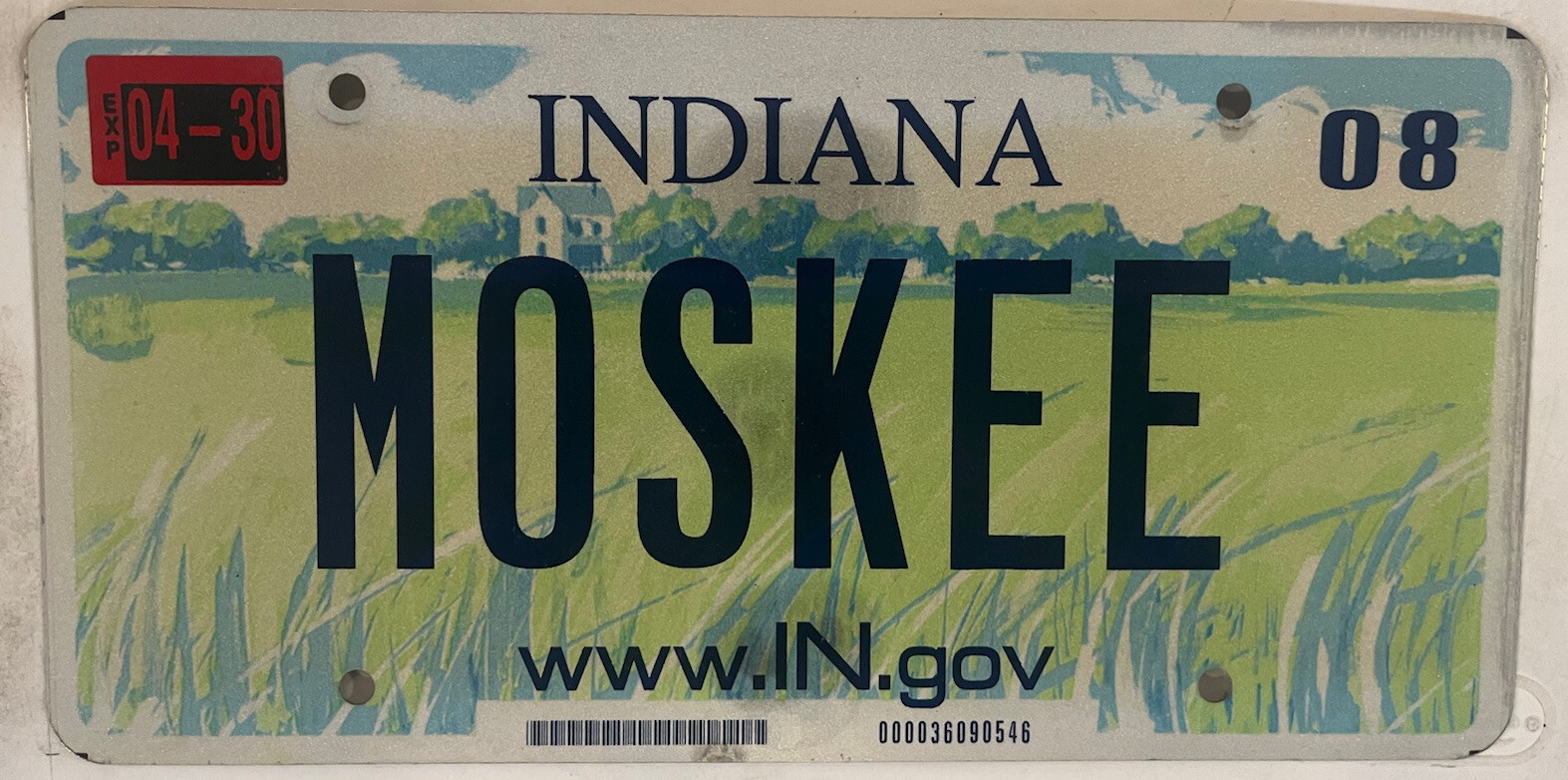 Vanity MOSKEE MOSQUITO MOSQUE license plate Mesquite Islam Muslim ...