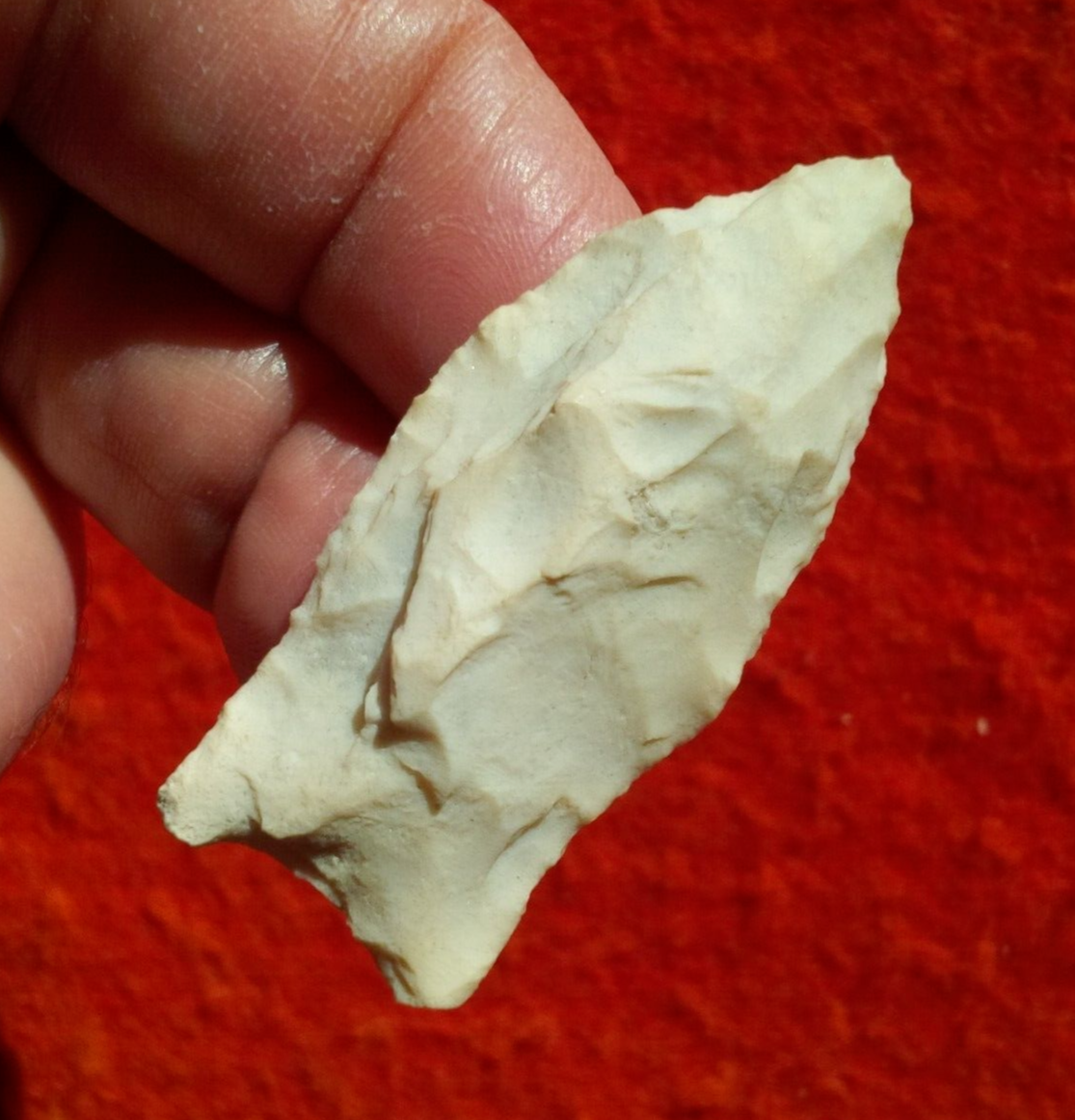 2" PALEO SIMPSON FLORIDA ARROWHEAD Authentic Indian Artifact AUTHENTIC ...