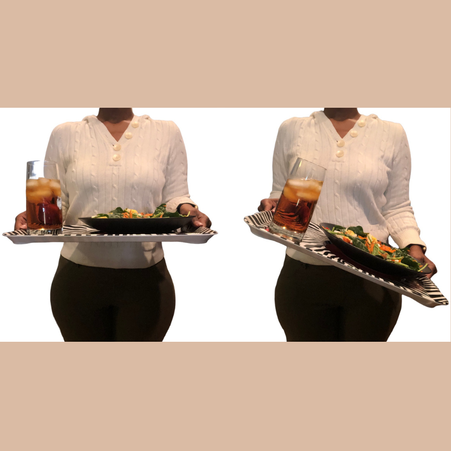 2 Non-Slip Dinner Trays TV Trays Lappers Zebra Print | eBay