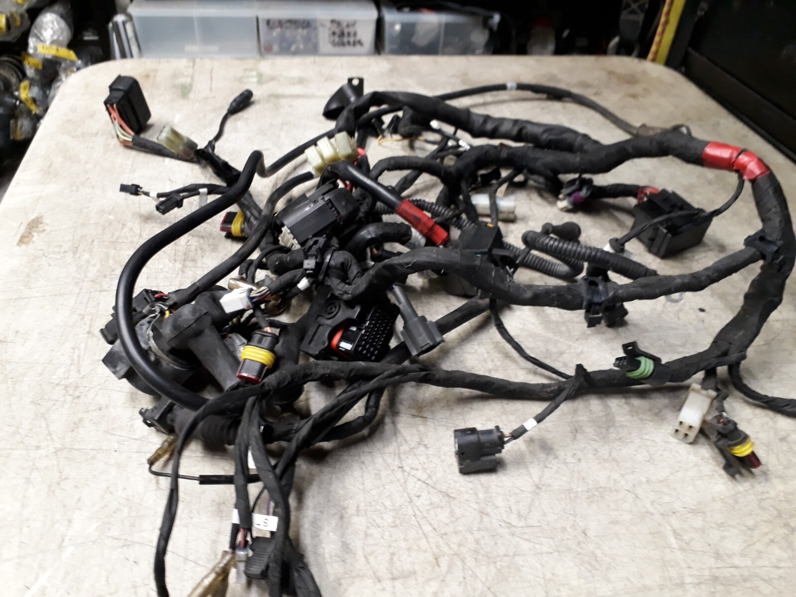 DUCATI MONSTER 659, WIRING HARNESS / LUME, 'FREE POST ' # D135-A17 | eBay