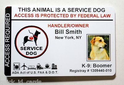 CUSTOM SERVICE DOG / PET ID CARD BADGE ID FOR SERVICE ANIMAL ...