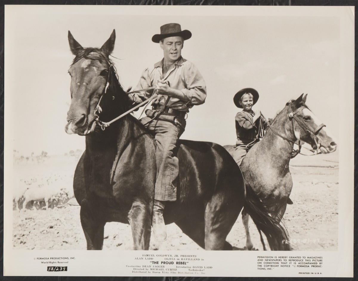 David Alan Ladd The Hollywood Collection: Alan Ladd: The True Quiet