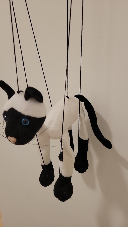 Siamese Marionette Kitten Cat 8.5" Tall, white with black "points ...