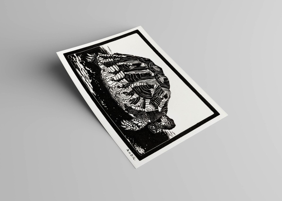 TURTLE (1877-1924) Julie De Graag ART NOUVEAU 22X16" Premium Art Print ...