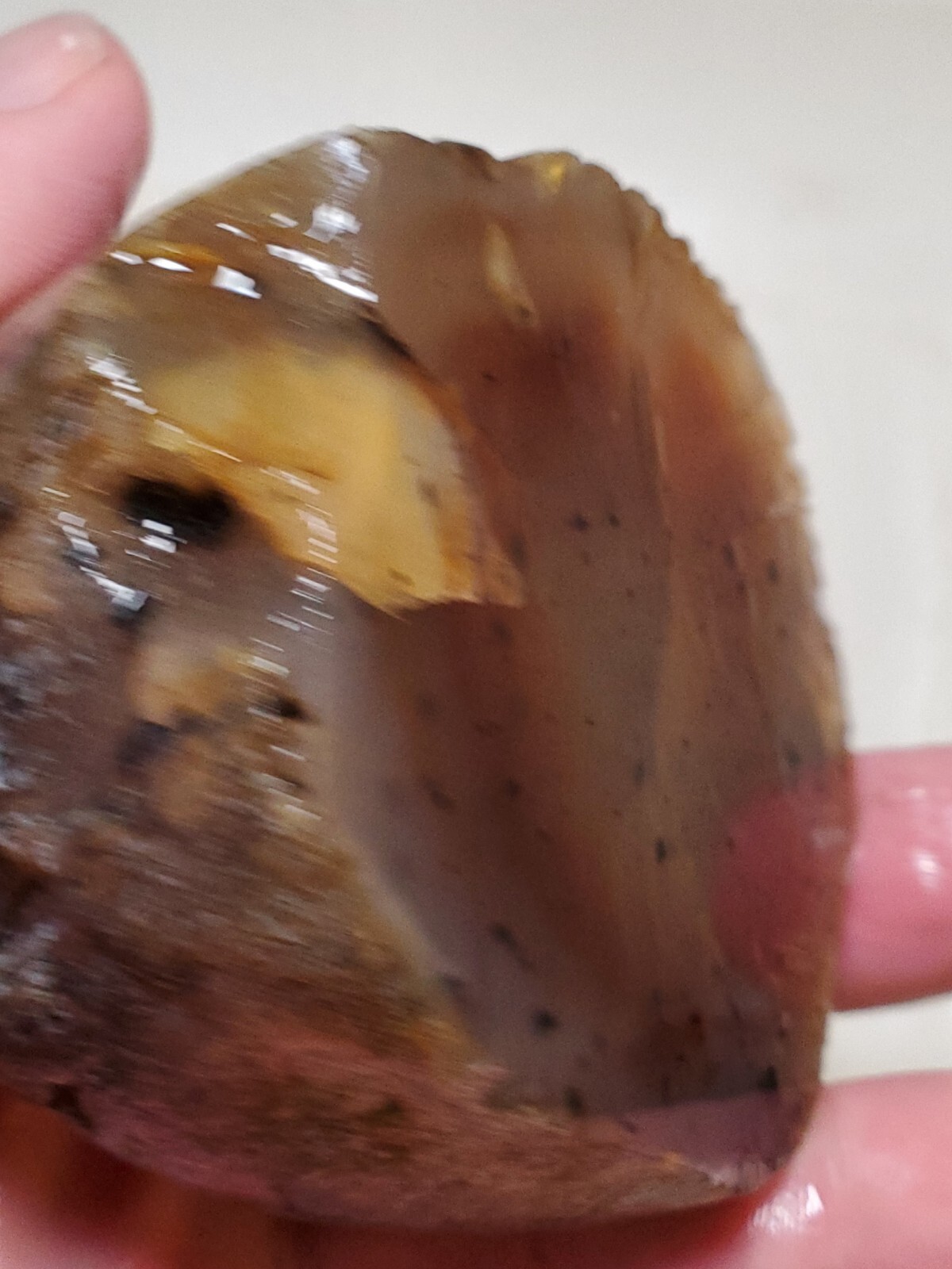 Montana Yellowstone River Agate Rare Sagenite Lapidary 390g Rough ...