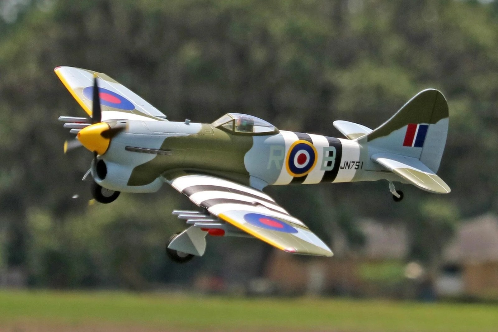 RC Airplane Aircraft Warbird Fighter Skynetic Tempest 800mm 31.4 ...
