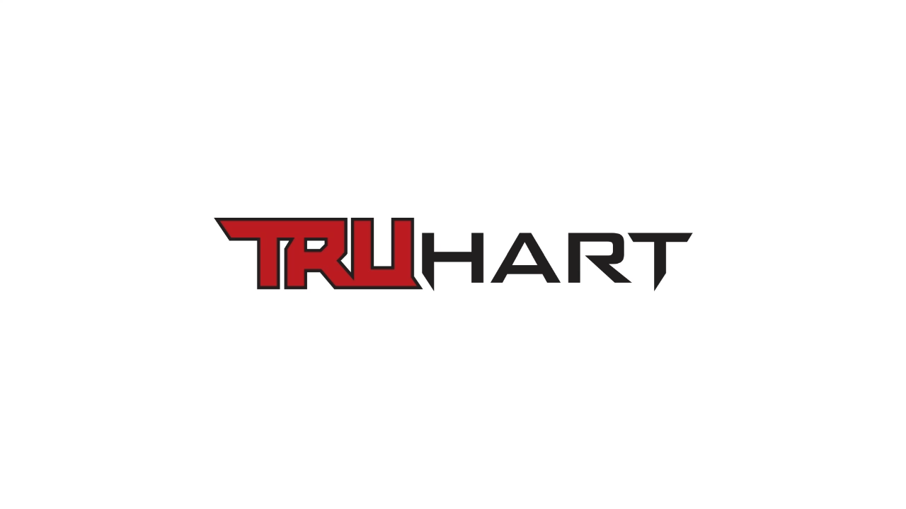 Truhart Front Negative Camber Kit Upper Control Arms TH-L201 | eBay