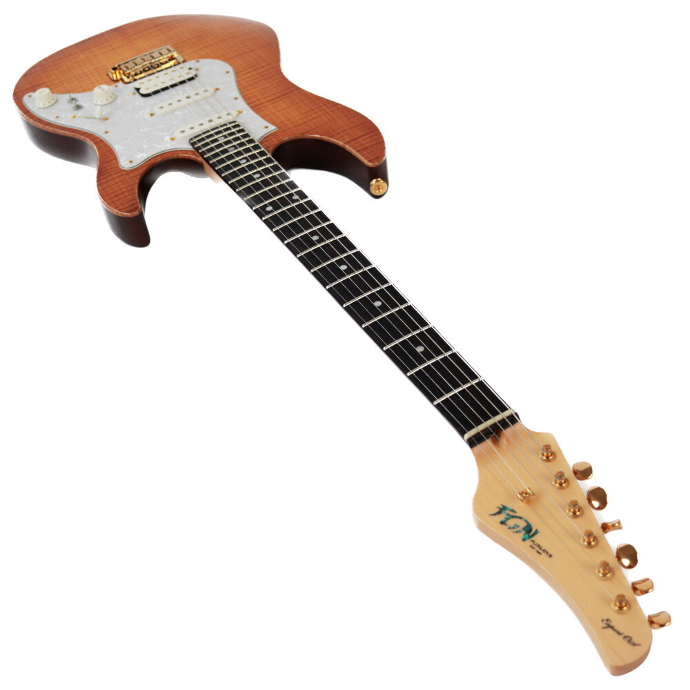 FUJIGEN Expert ODYSSEY EOS-FM-R/VV 2016 electric guitar #QO2SR2 | eBay