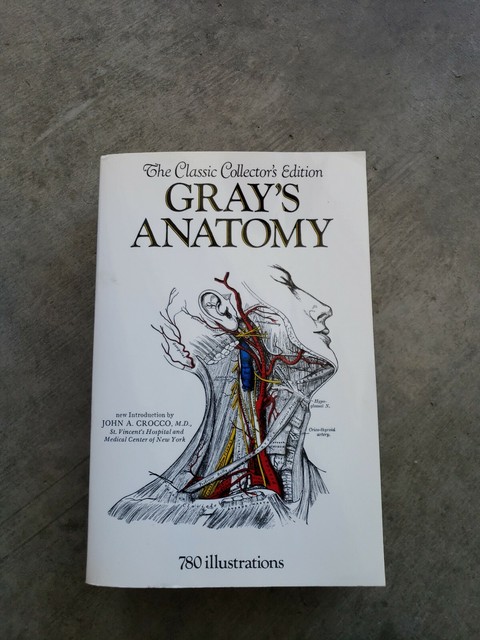 Gray's Anatomy Paperback Book | eBay