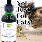 Catnip Tincture Organic Liquid Herbal Drops Natural Mood Sleep 2 OZ ...