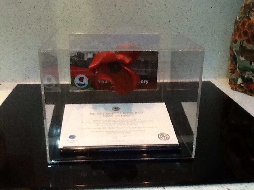 Tower Of London Ceramic Poppy Display Cases | eBay UK