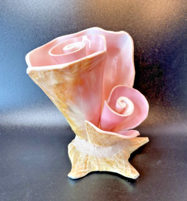 Conch Shell Art Seashell Hand Cut Art Flower Bouquet blooms Seashell ...