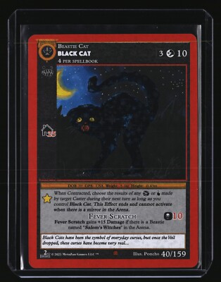 MetaZoo BLACK CAT 40/159 Reverse Holo (2022 Cryptid Nation 2nd Edition ...