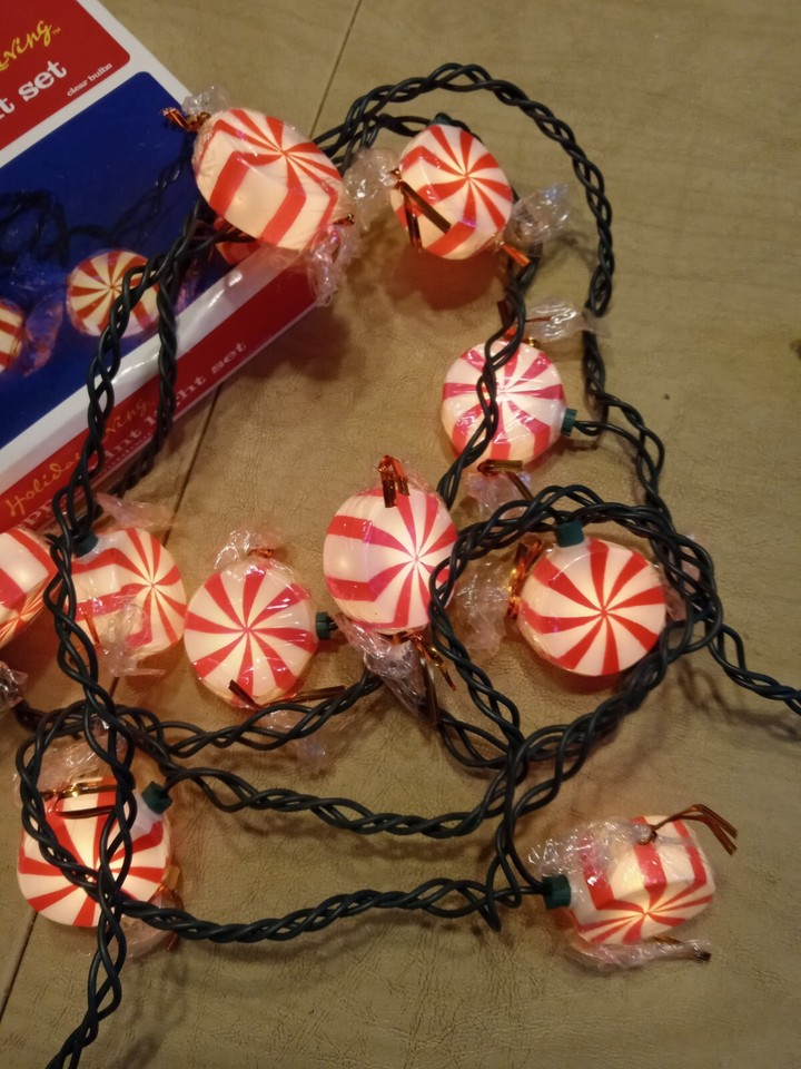 Holiday Living 10ct. Peppermint Light Set Indoor/ Outdoor String Lights ...